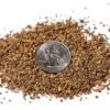 Whole Silvervine Fruit - Catnip Alternative | Meowy Janes