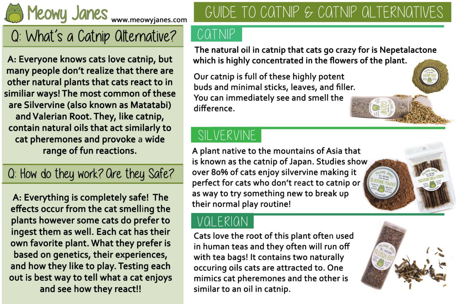 Whole Silvervine Fruit - Catnip Alternative | Meowy Janes