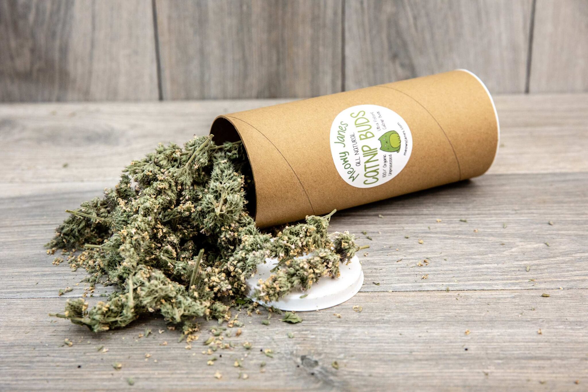 Catnip Buds Tube - Meowy Janes
