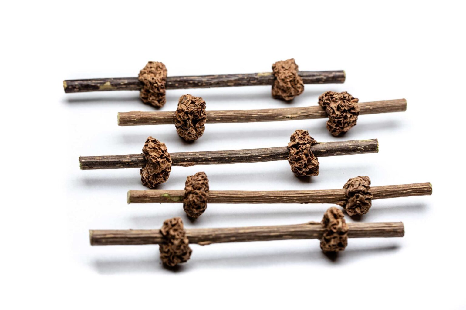 Silvervine Kebab Cat Chew Sticks - Matatabi - All Natural | Meowy Janes