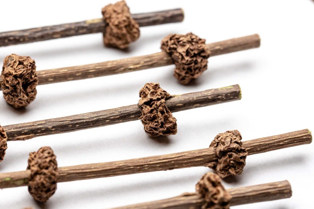 Silvervine Kebab Cat Chew Sticks - Matatabi - All Natural | Meowy Janes