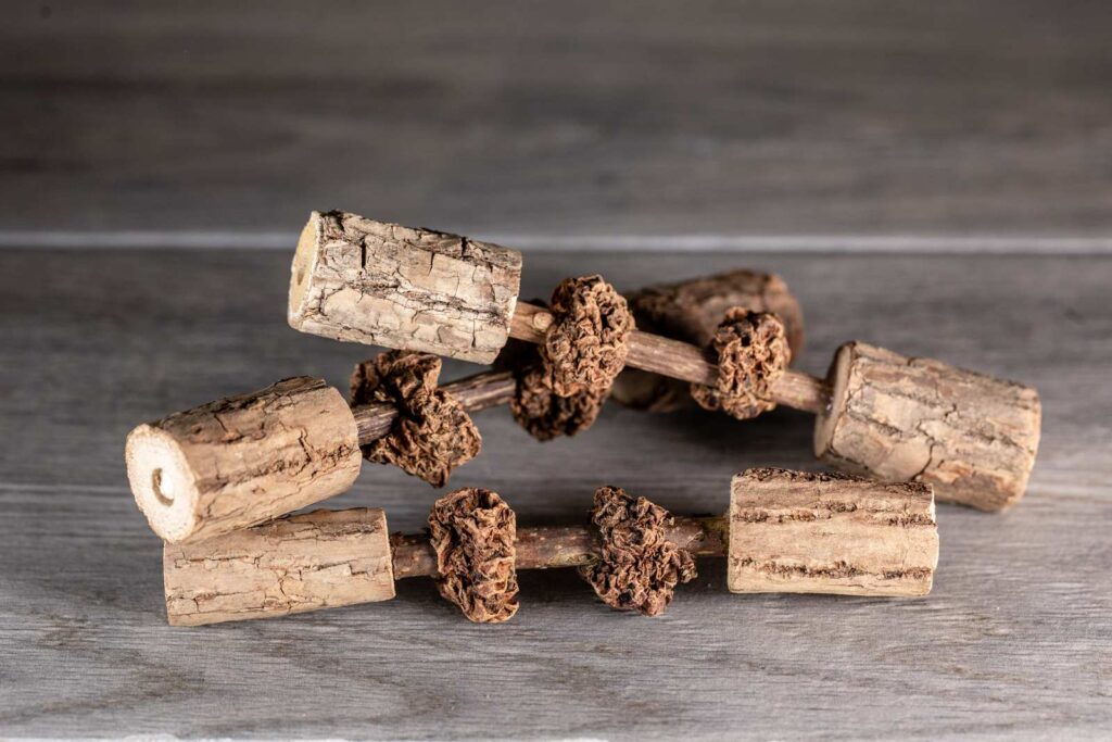 Silvervine Kebab Cat Chew Sticks - Matatabi - All Natural | Meowy Janes