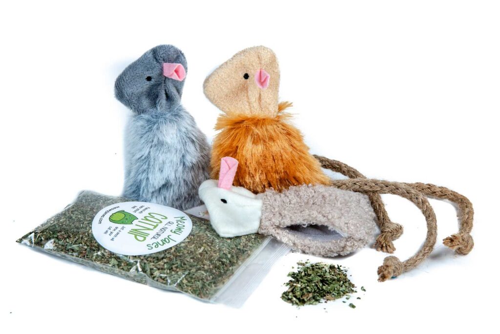 Refillable Mouse Toy | 3 Pack