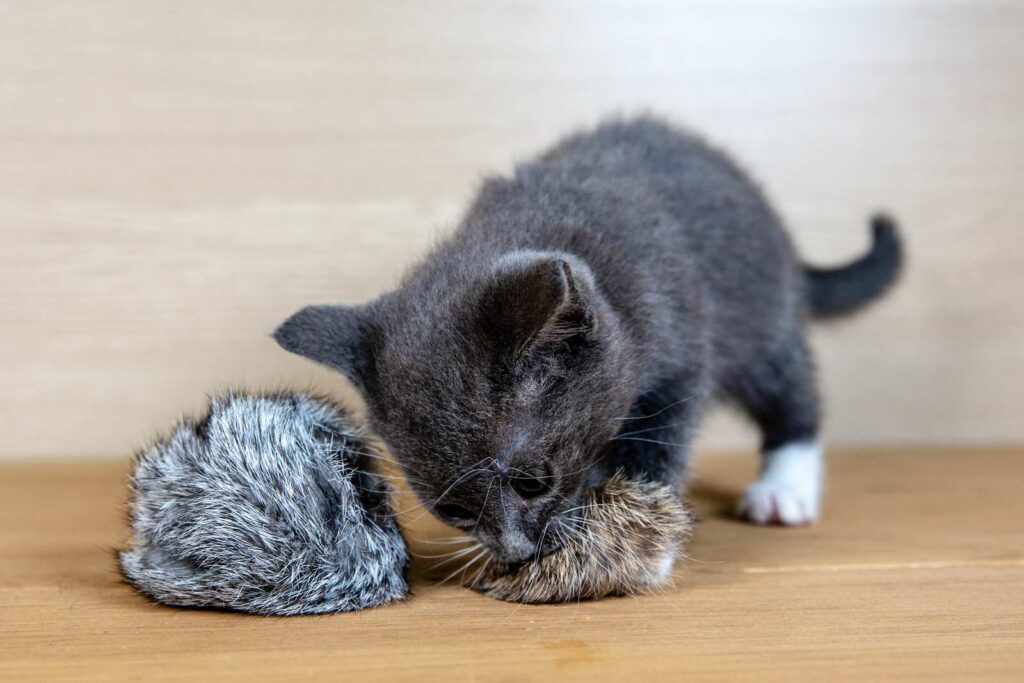 5 Pack Large Real Rabbit Fur Balls - Meowy Janes