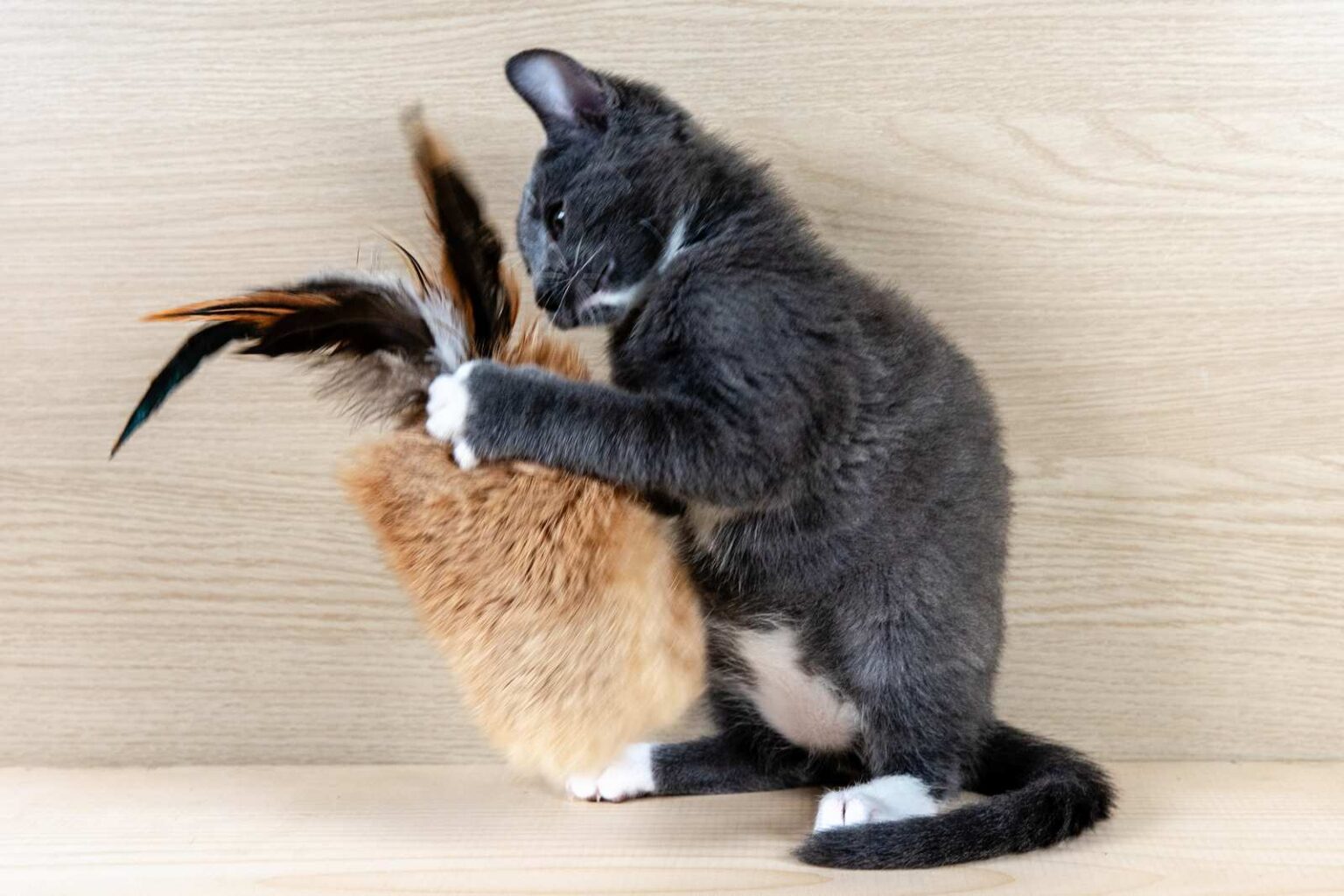 2 Pack Rabbit Fur & Feather Toy - Meowy Janes