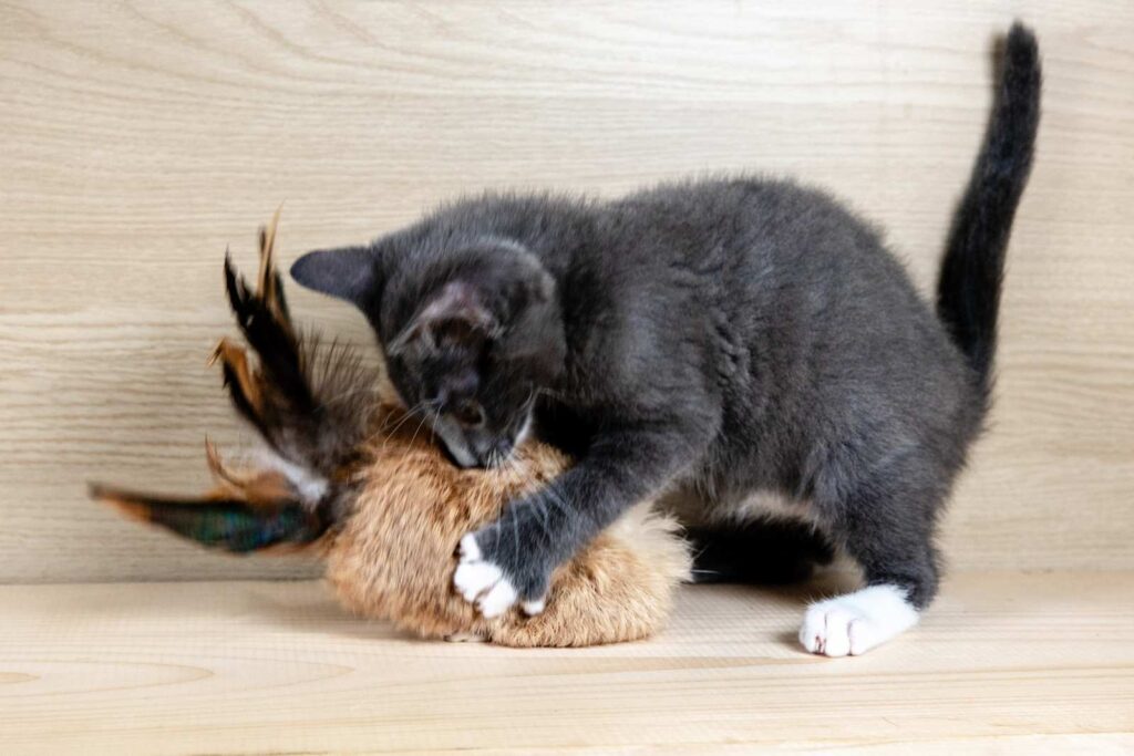 2 Pack Rabbit Fur & Feather Toy - Meowy Janes