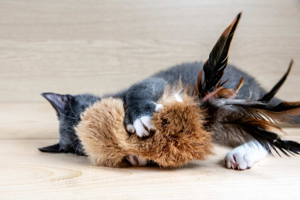 2 Pack Rabbit Fur & Feather Toy - Meowy Janes