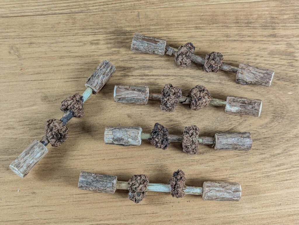 "Ugly" Silvervine Fruit Dumbbell Kebab Matatabi Chew Sticks - Meowy Janes